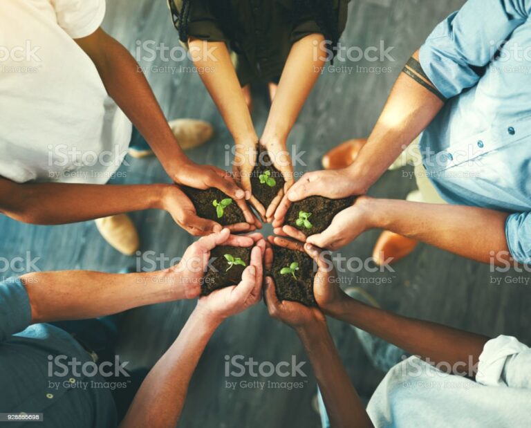 Staffing Services – DevCare Solutions